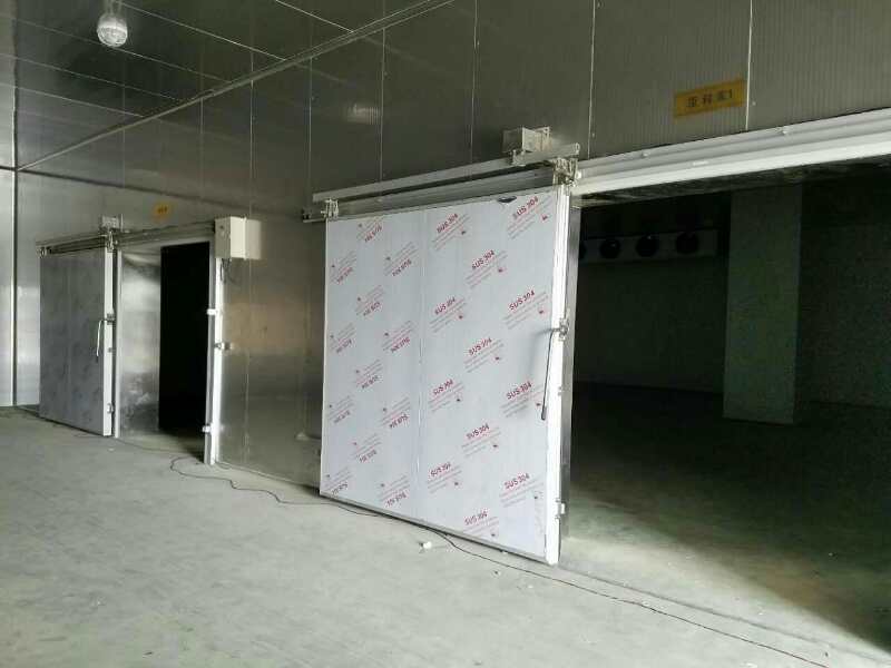 Cold Room Automatic Sliding Door - Buy Cold Room Door, Cold room ...