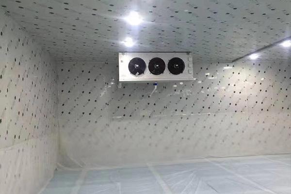 How to Make Ground Thermal Insulation In Cold Room? - Jiangsu Linble ...